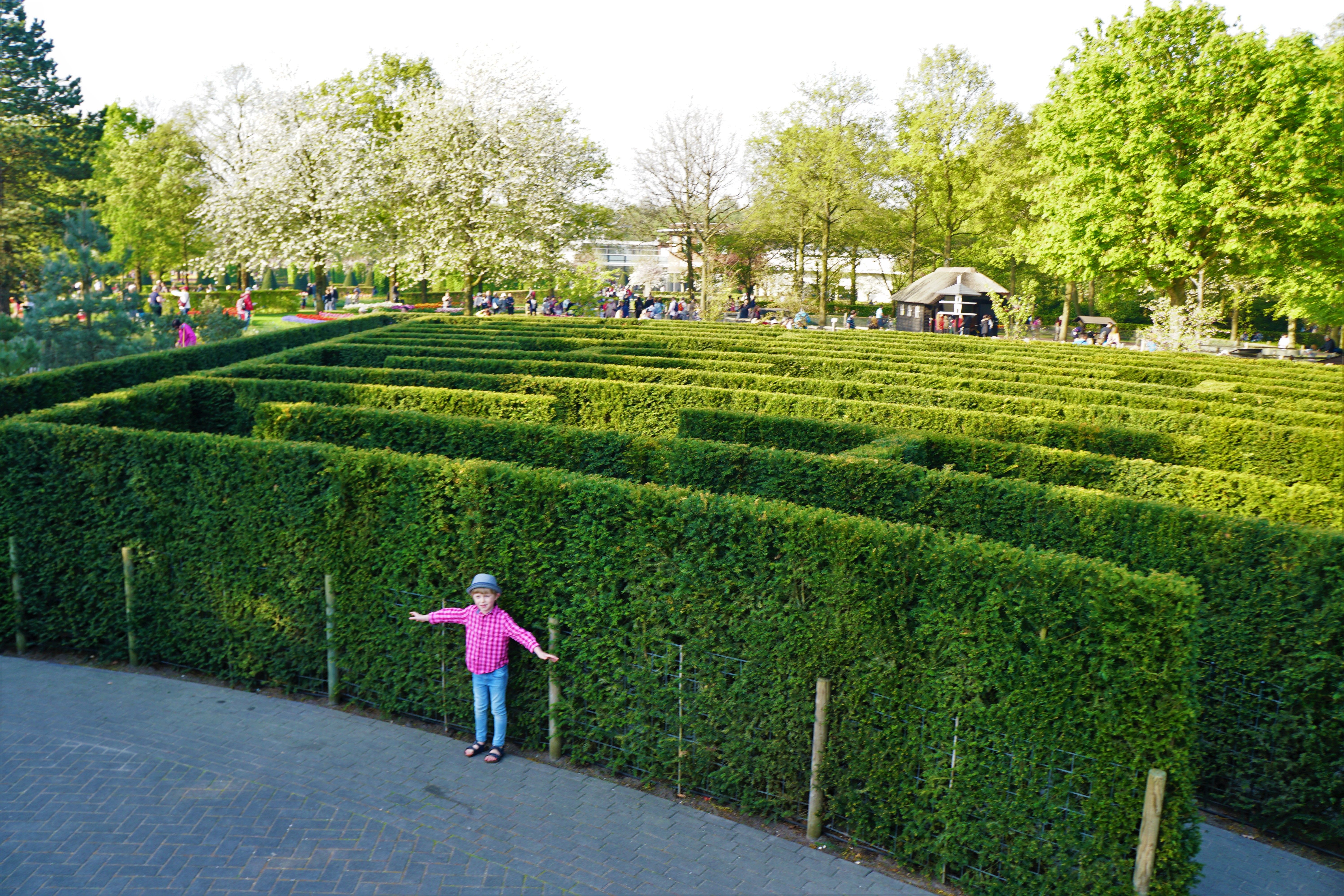 Perfect Petal Experience - Exploring Keukenhof with Kids