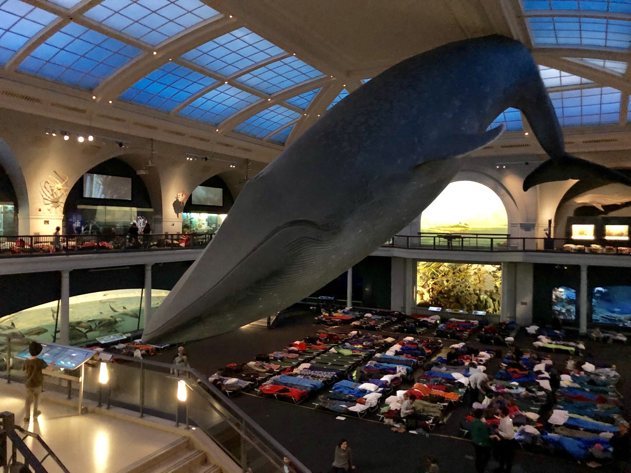 A Night at the Museum - Sleepover Experience | Little Kid Big CIty